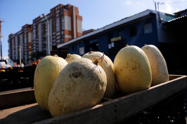 Si va a hacer miel de chiverre en Semana Santa, ¡no bote las semillas ...