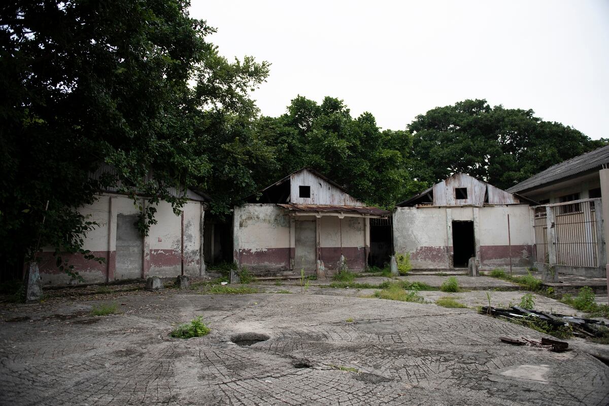 ¿Qué escribían y dibujaban los reos en las paredes de la cárcel de San ...