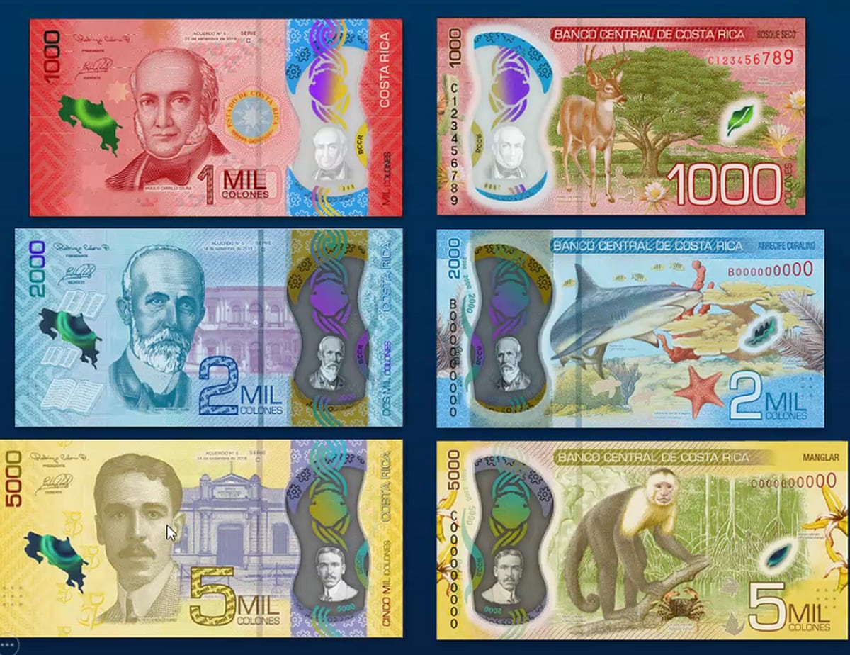 (Video) Todos los billetes serán plásticos como el de mil colones - La Teja