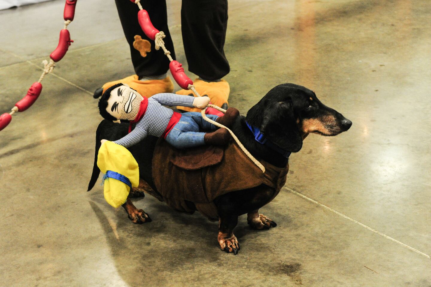La feria de mascotas más grande del país ya está a la vuelta de la ...