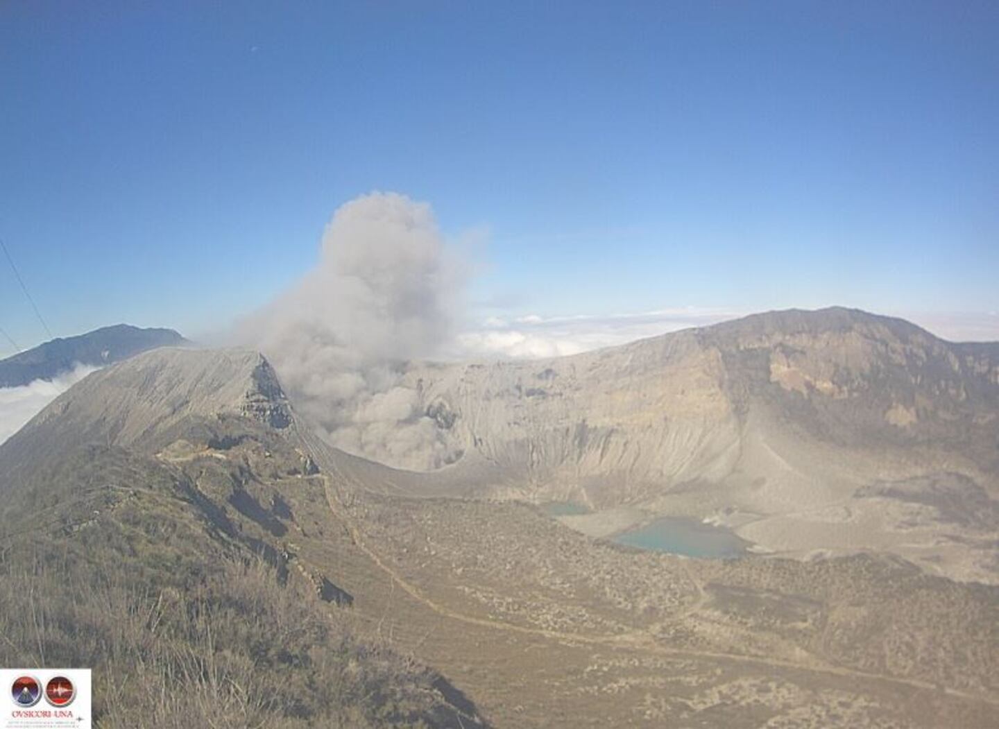 (Video) El Turri se vuelve a poner inquieto | La Teja