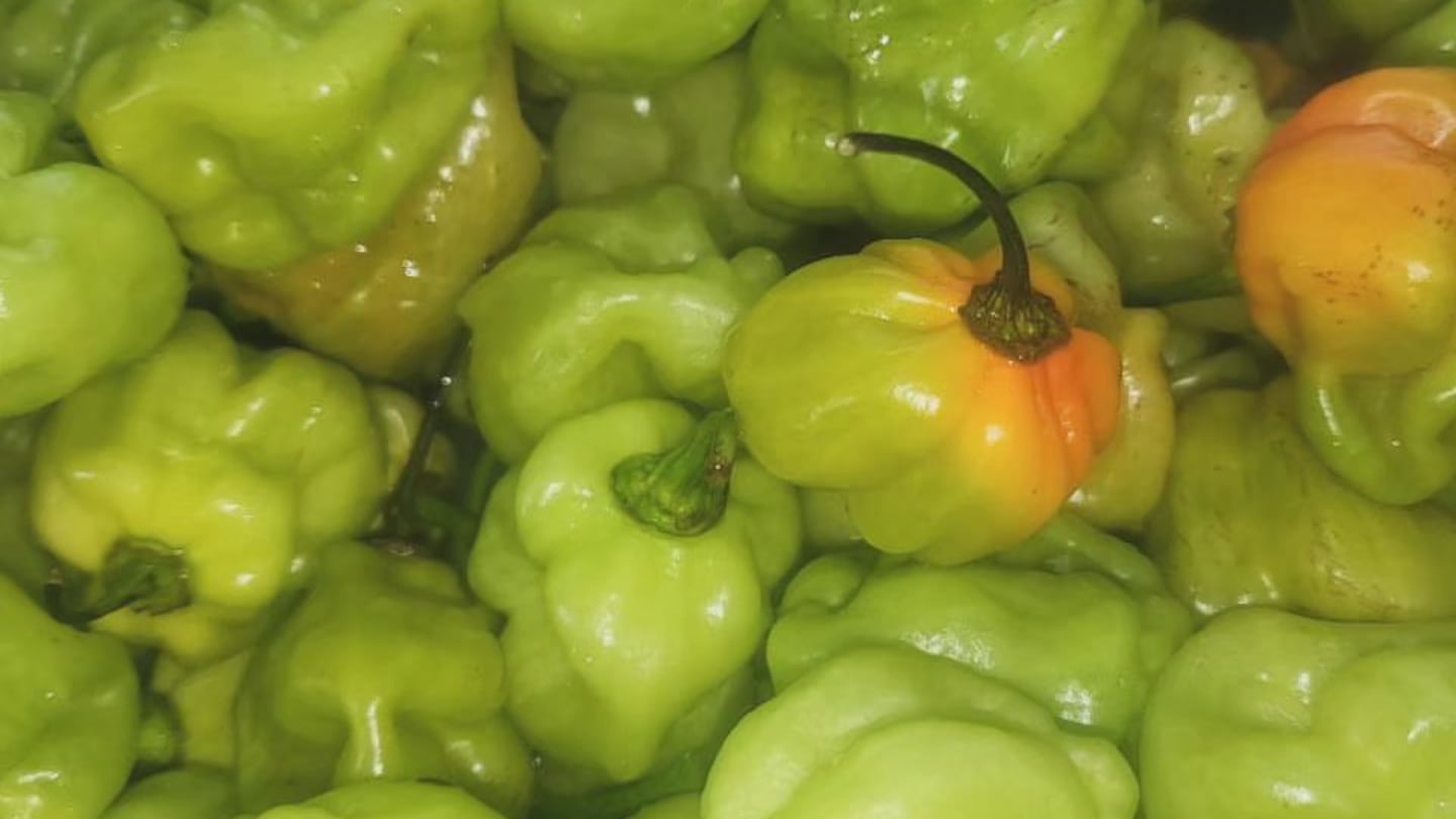 Chef encontró la receta ideal para que el chile no le pique y le dé un ...