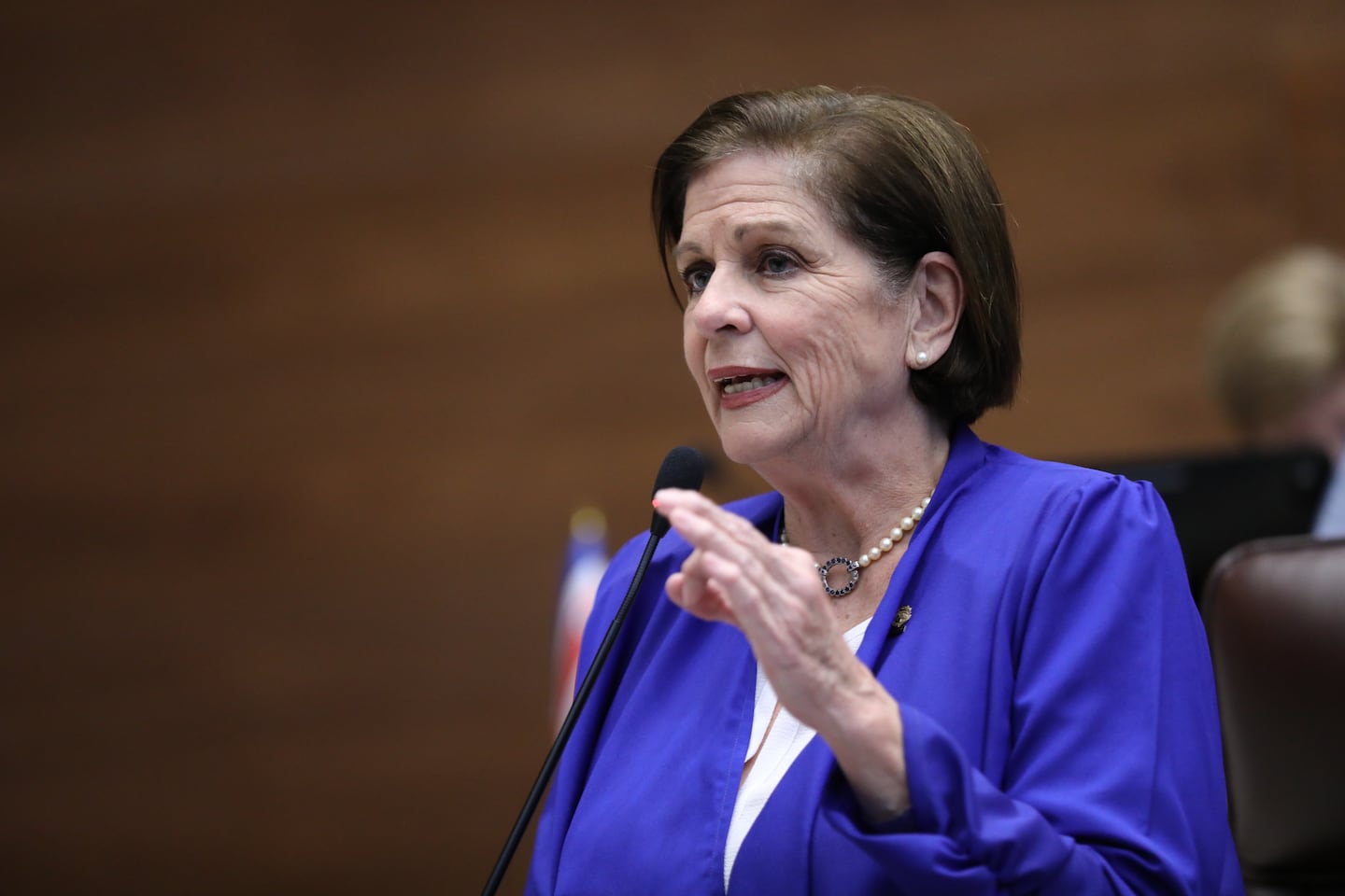 Pilar Cisneros causó un enorme pleito en el Plenario y los diputados le ...