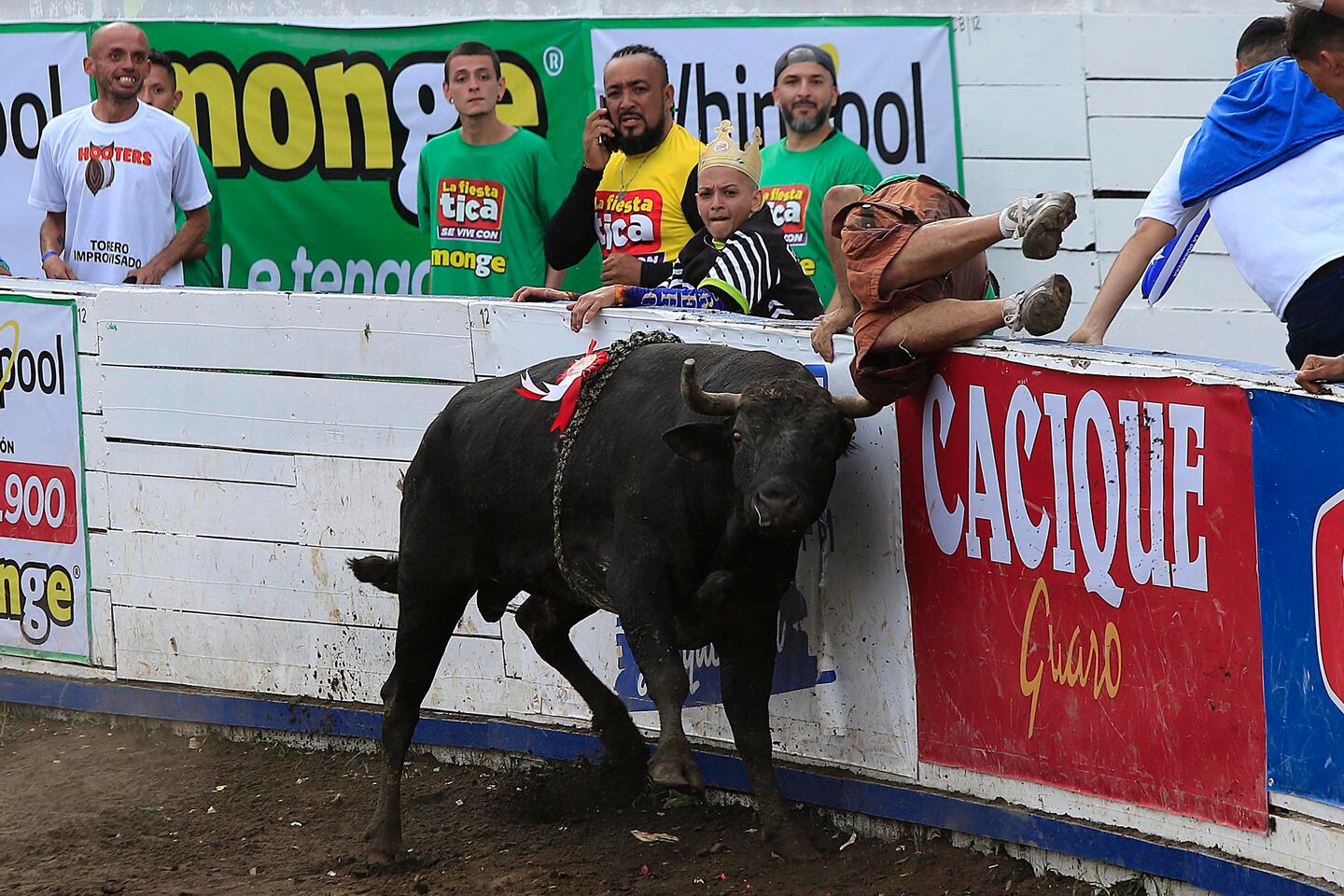 Shakira, el famoso torero improvisado de Zapote, está malito de salud ...