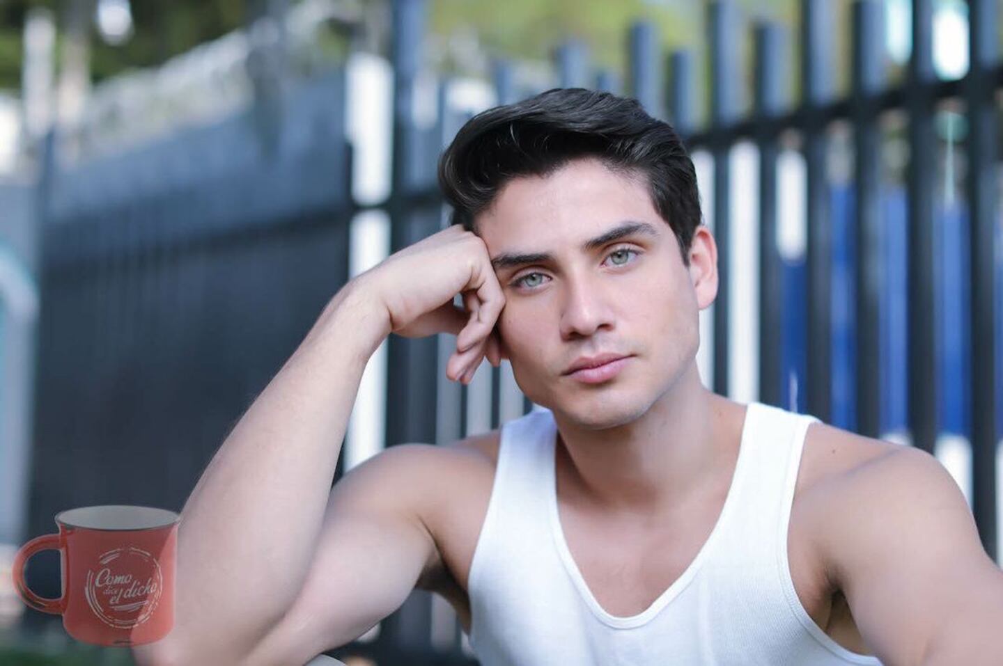 Actor tico será uno de los protagonistas de la nueva telenovela de ...