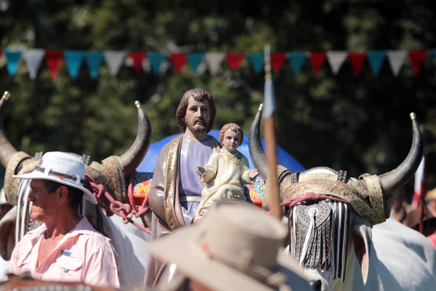 Desfile Boyeros 2023: “Lucharé porque en Puerto Rico el boyeo sea como ...