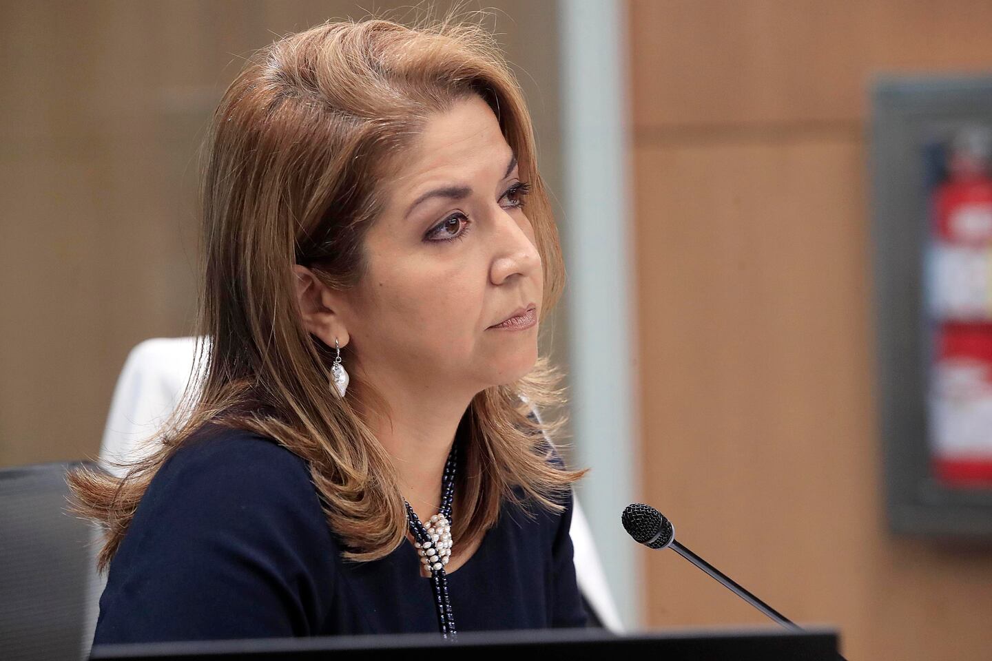 Vicepresidenta Mary Munive habla por primera vez sobre acusaciones de ...