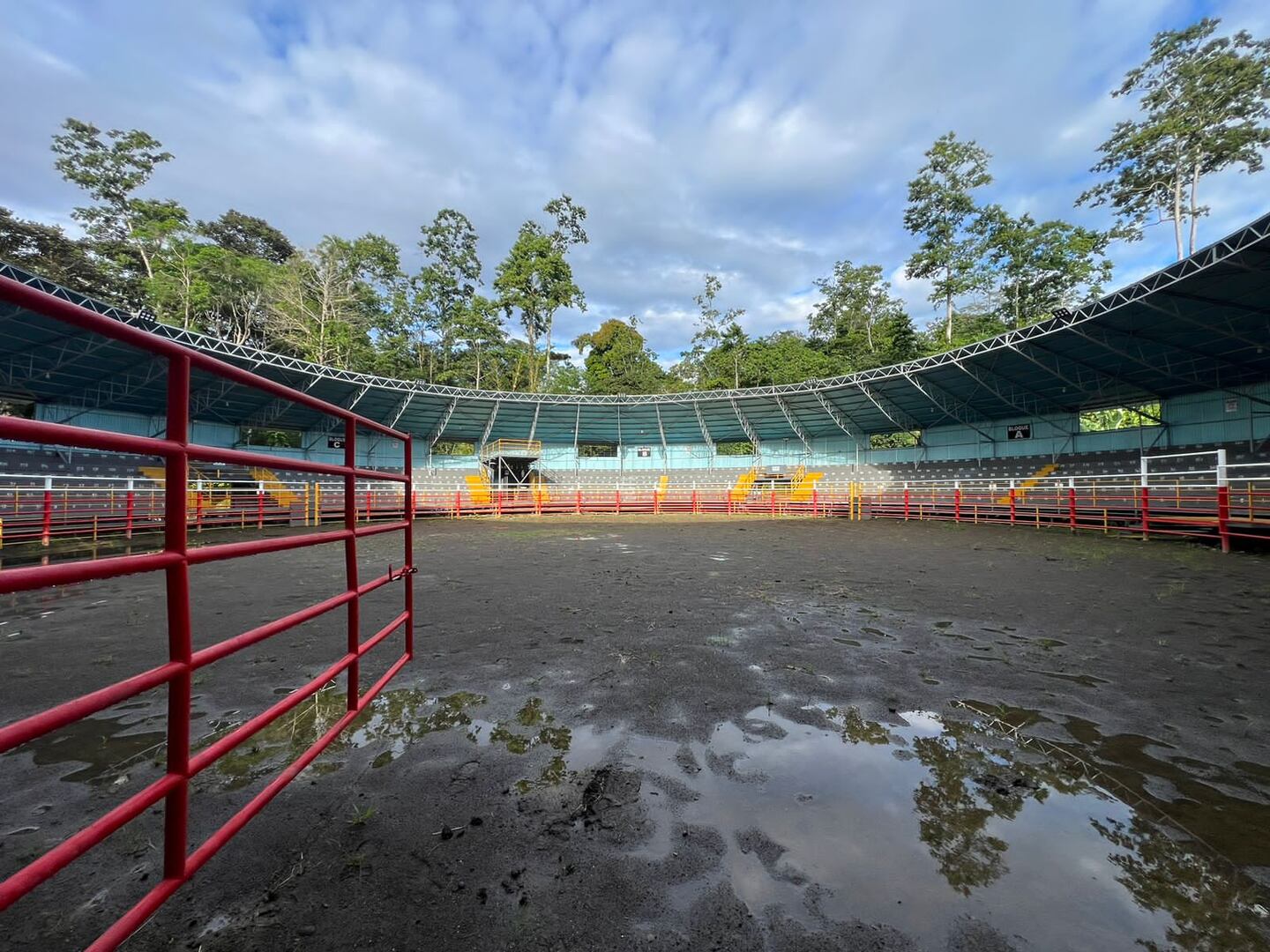 Pecho de rata salió en libertad tras condena de 10 años por ...