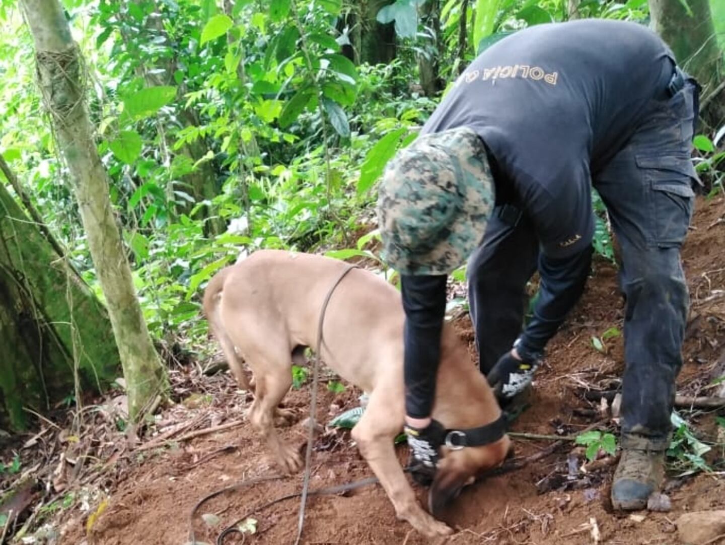 Autoridades encuentran fosa clandestina en Pocora de Guácimo | La Teja
