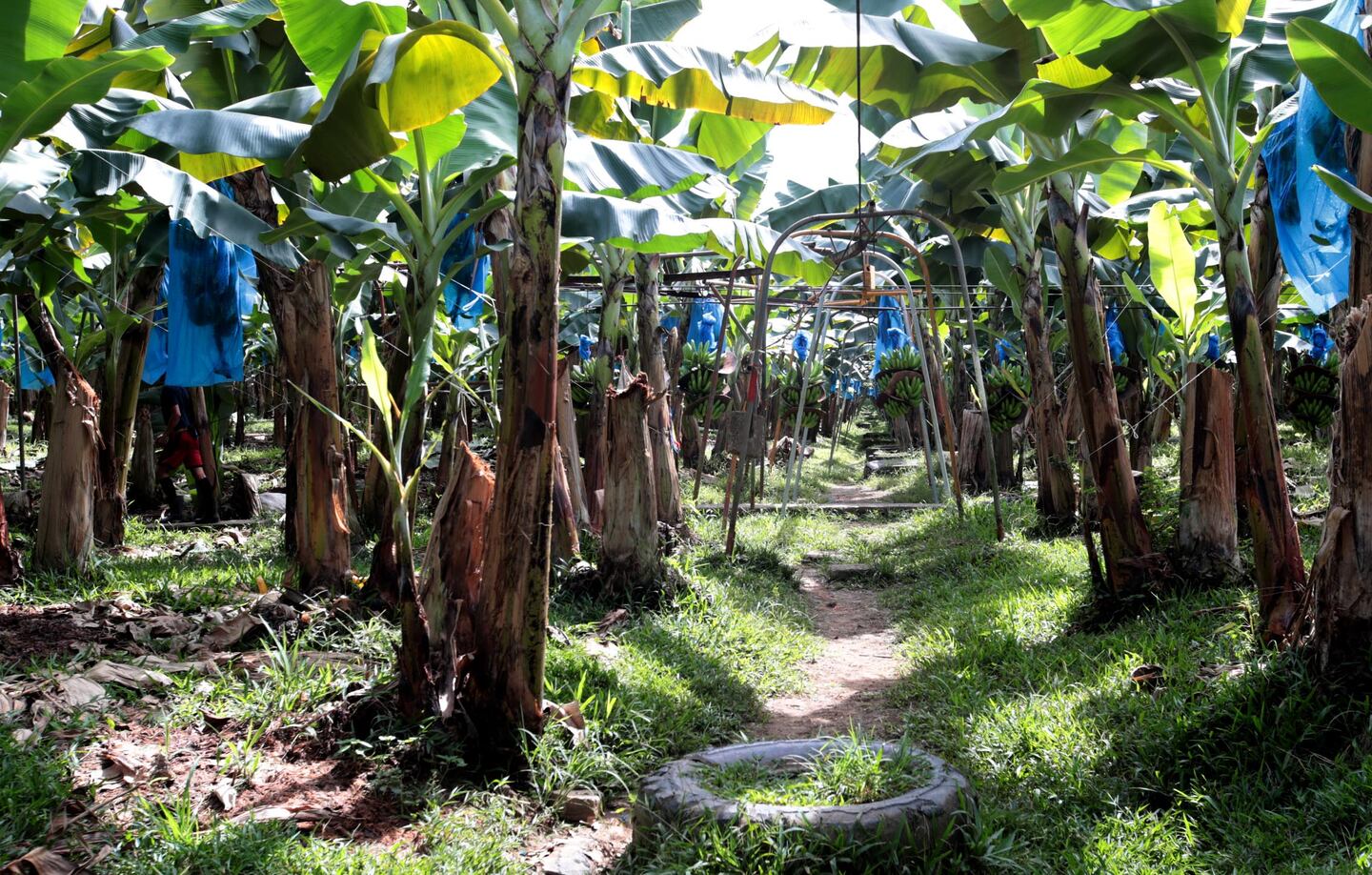 De mútiples balazos matan a un veinteañero que trabajaba en una ...